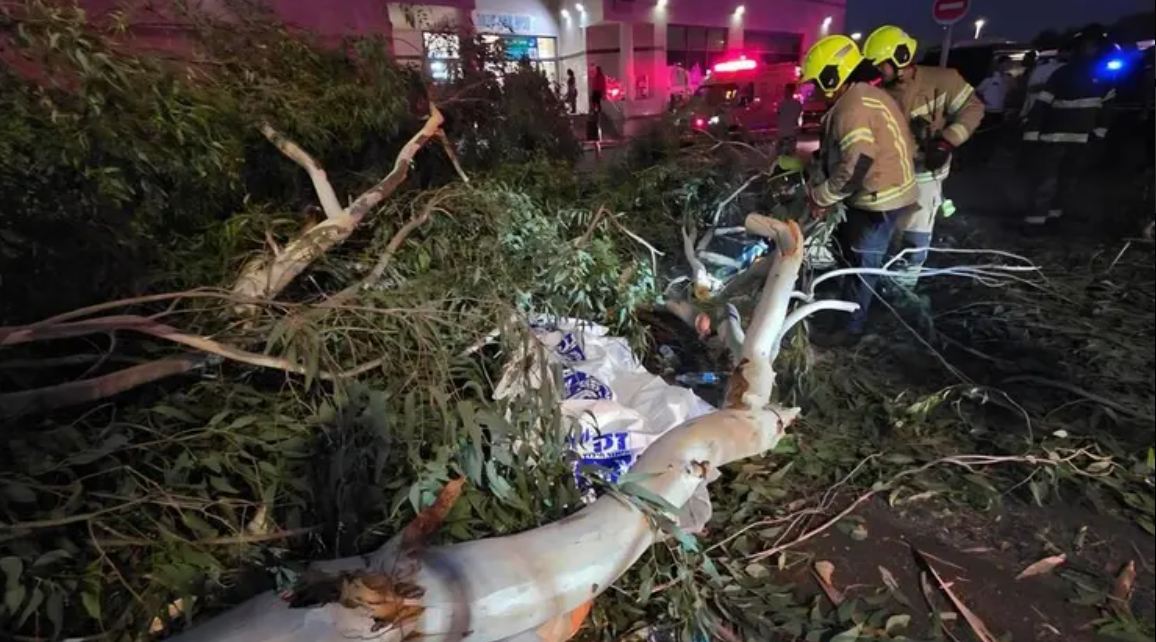 Tragédie à l'hôpital Assaf Harofeh: un homme meurt écrasé par la chute d'un arbre